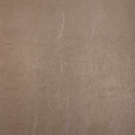 Homapal HPL 451/100 nodig? Professionals kiezen Leeuwerik