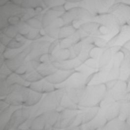 Homapal HPL 800/200 SRM nodig? Professionals kiezen Leeuwerik