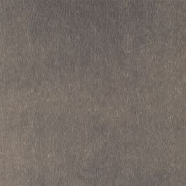 Homapal HPL 8200 nodig? Professionals kiezen Leeuwerik