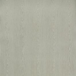 Infinite Wood Decolam Atria Oak nodig? Professionals kiezen Leeuwerik