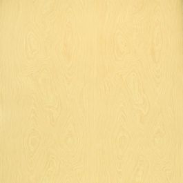 Infinite Wood Decolam Polaris Pine nodig? Professionals kiezen Leeuwerik